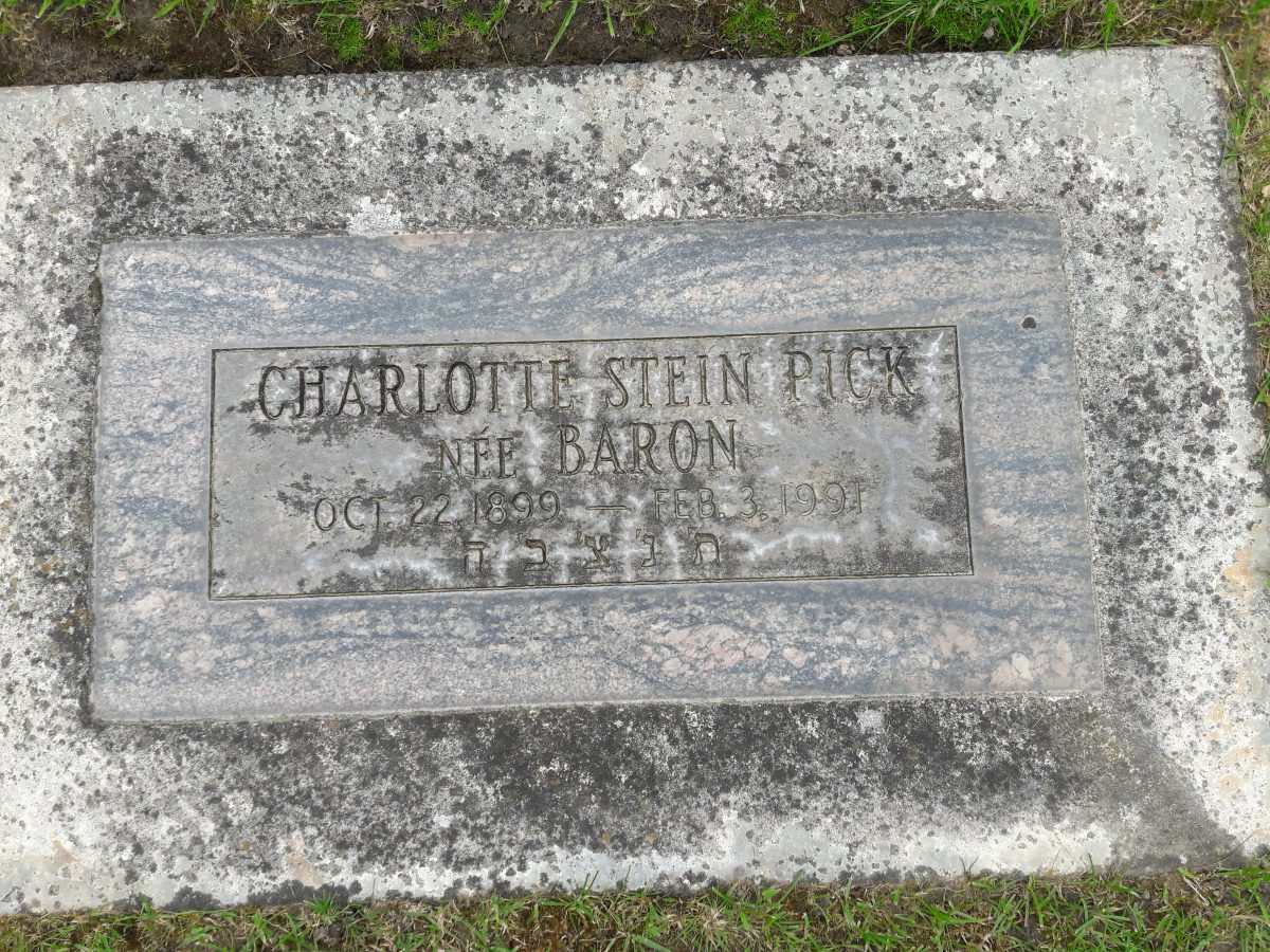 Pick Charlotte Stein – HNT